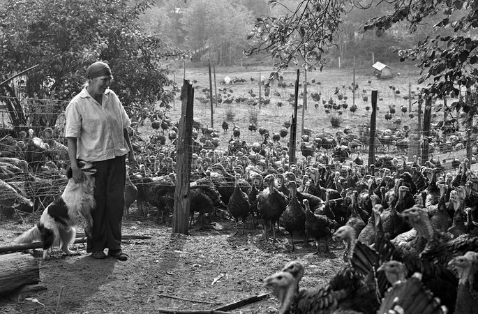 The Oregon Encyclopedia