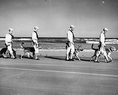 The Beach Patrol in Oregon, U.S. Coast Guard, 1942-1944