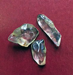 Oregon State symbols