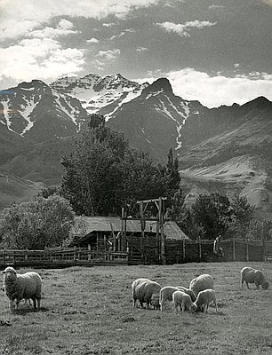 The Oregon Encyclopedia