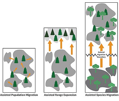 Assisted Plant Migration