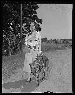 Guide Dogs for the Blind