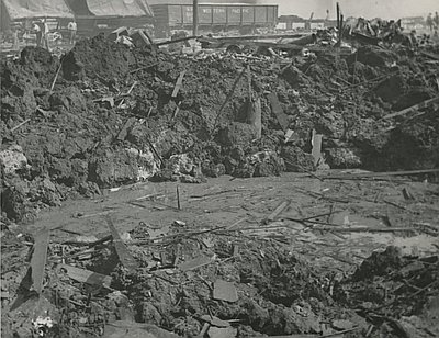 The Oregon Encyclopedia