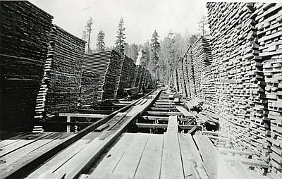 Timber Industry