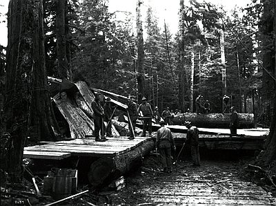 Gyppo Logging in Oregon