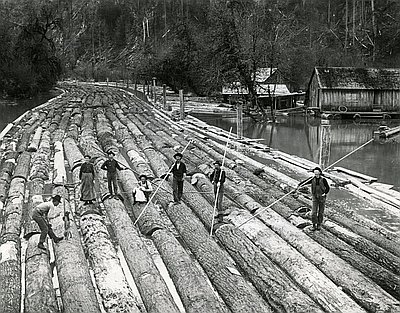 Timber Industry